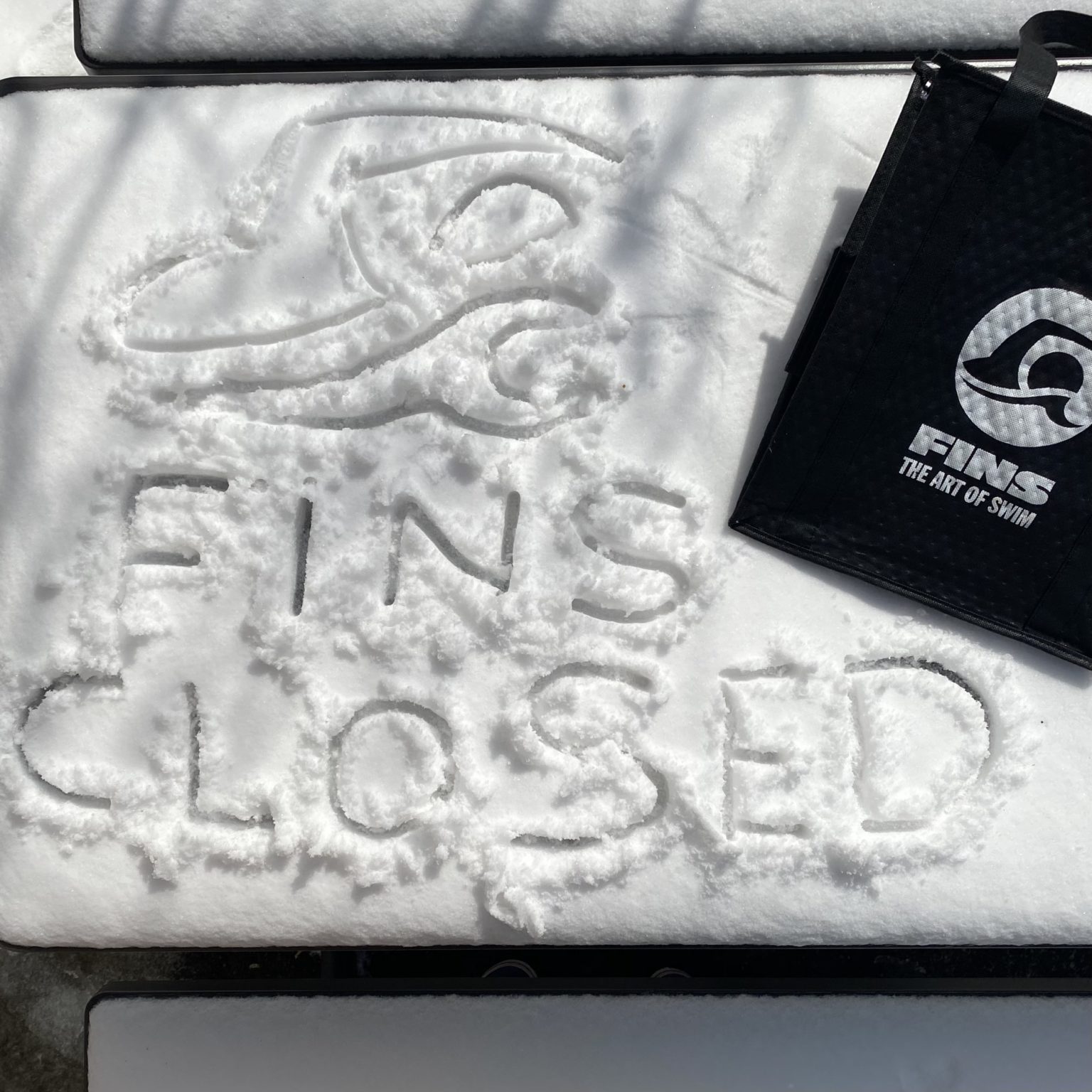 FINS Swim School | Local Swim Lessons in Spring | Since 2000